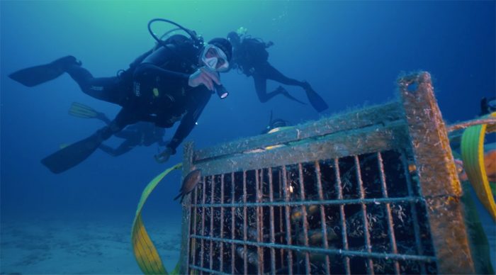 Cantina Subacquea e Akènta Sub: il video del vino subacqueo - Cantina ...