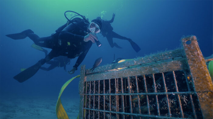 Viva Corallium Rubrum: la cantina subacquea dell’Akènta Sub per ...